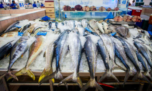 Hong Kong Probes Price-Fixing Claims At Aberdeen Fish Market