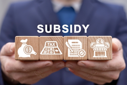 Subsidy Control Reviews: What Can I Challenge And Where Do I Issue?